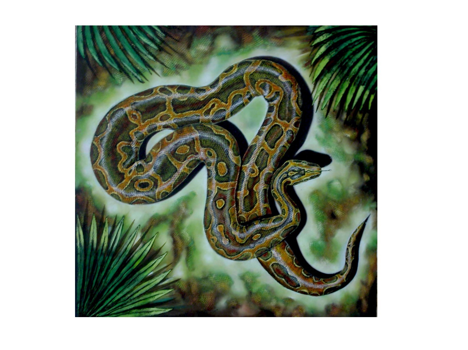 Peinture Python royal