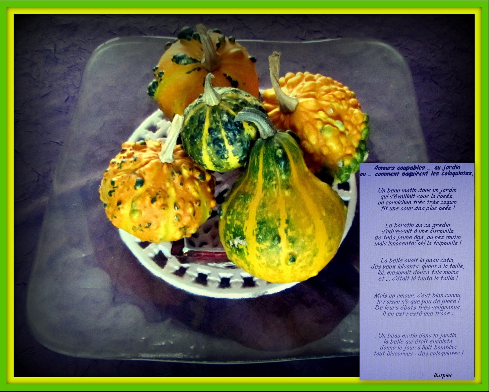 Photo JOLIES COLOQUINTES...