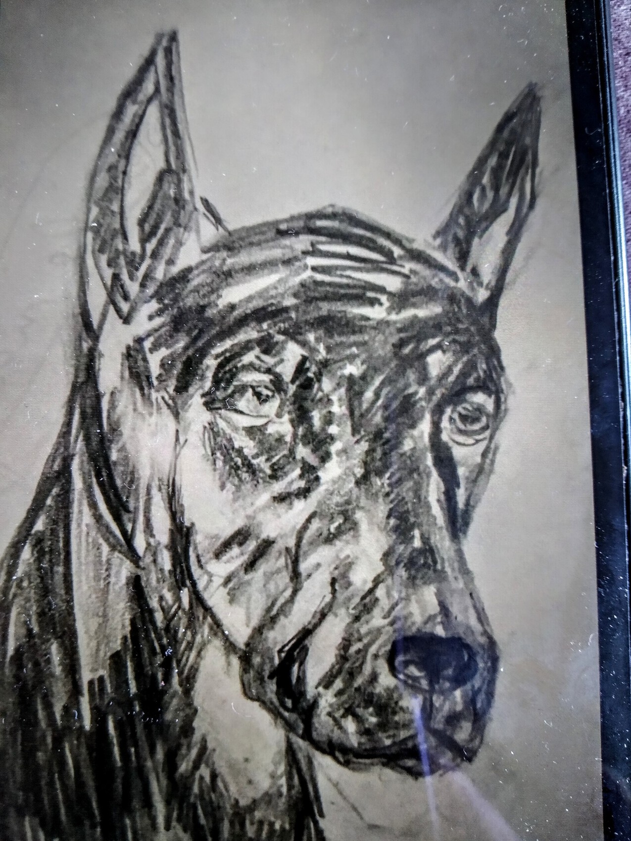 Dessin Dog