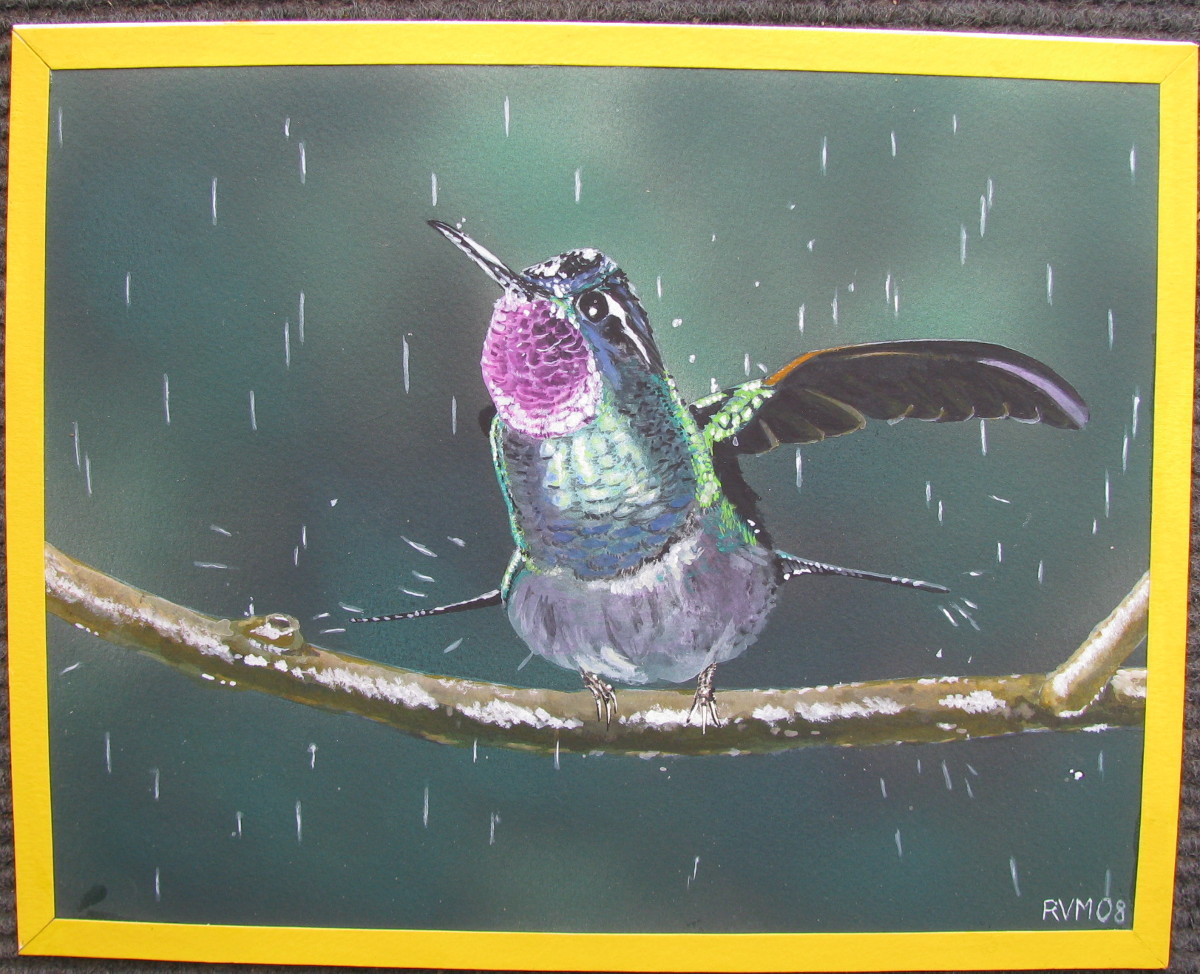 Peinture colibri à gorge pourprée sous la pluie