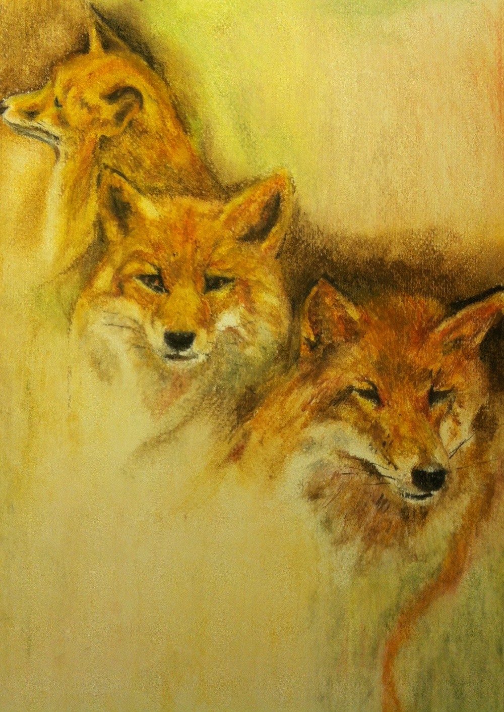 Peinture Etude de renards