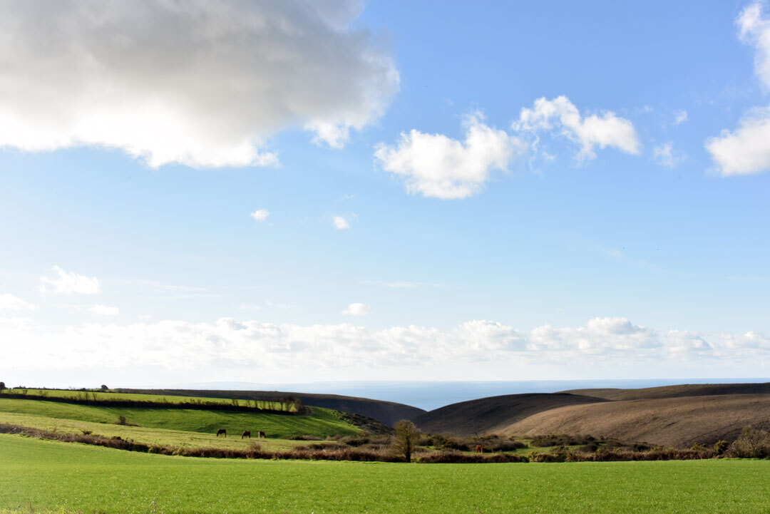 Photo Paysage paisible