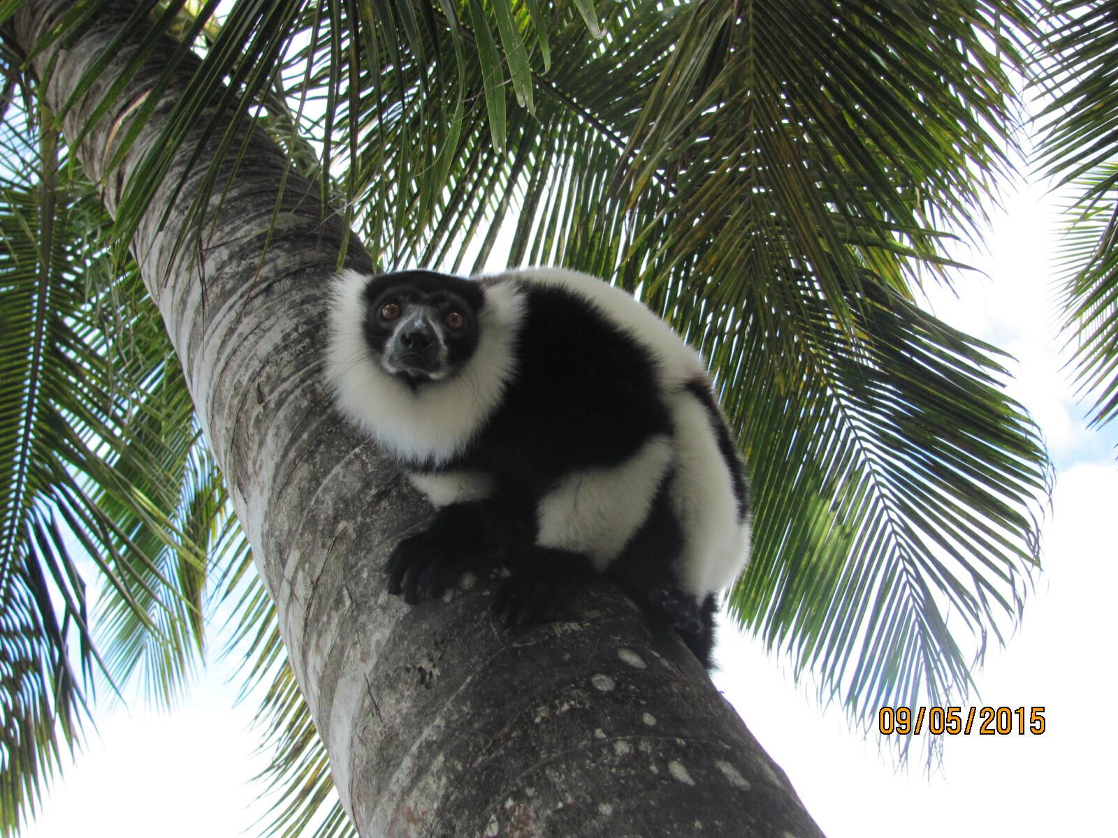 Photo vari noir et blanc