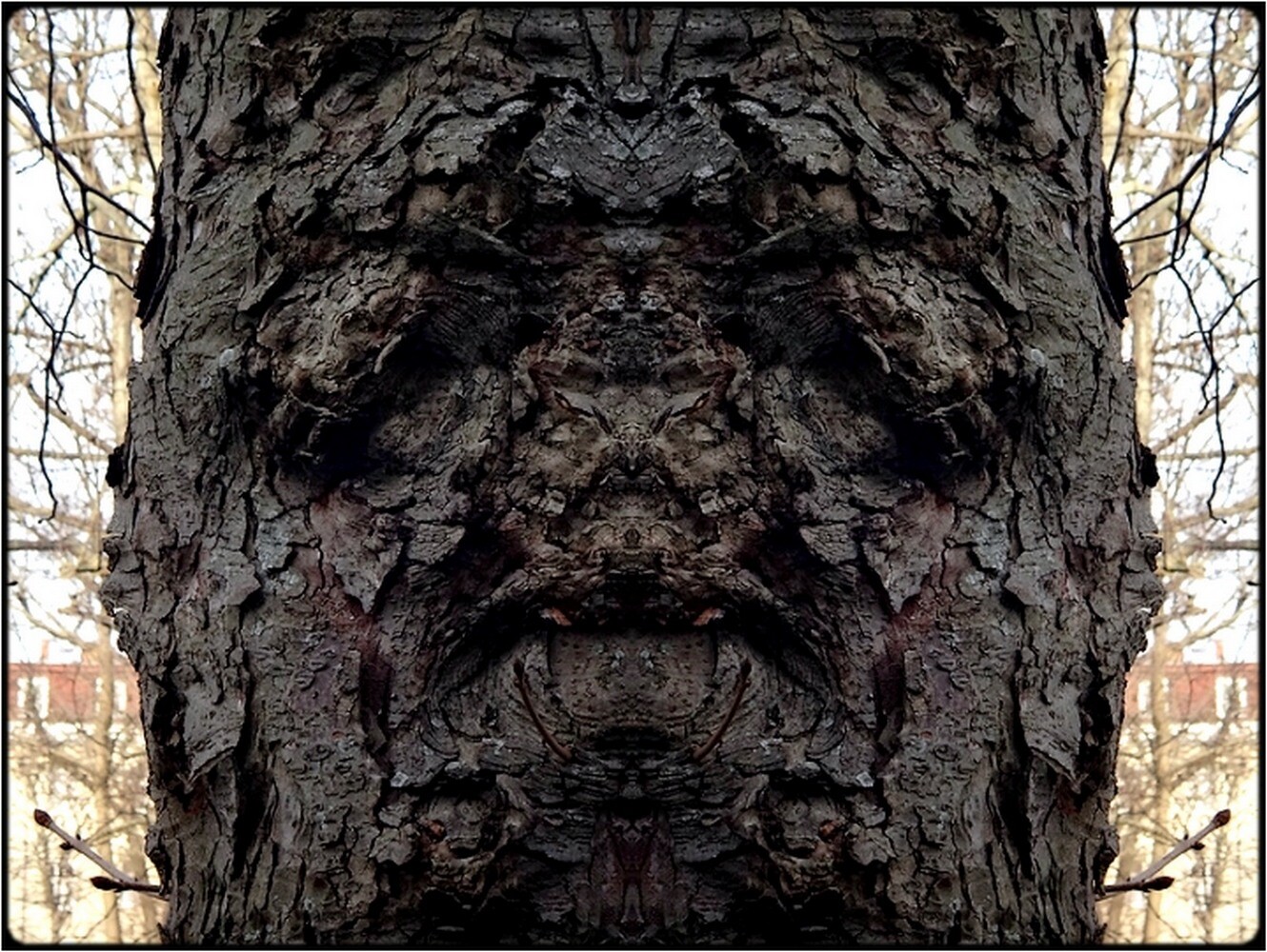 Photo der betrübte - the sad tree