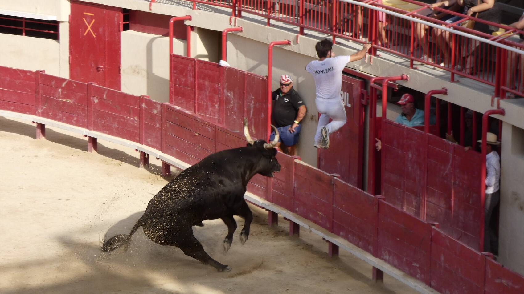 Photo course de vachette