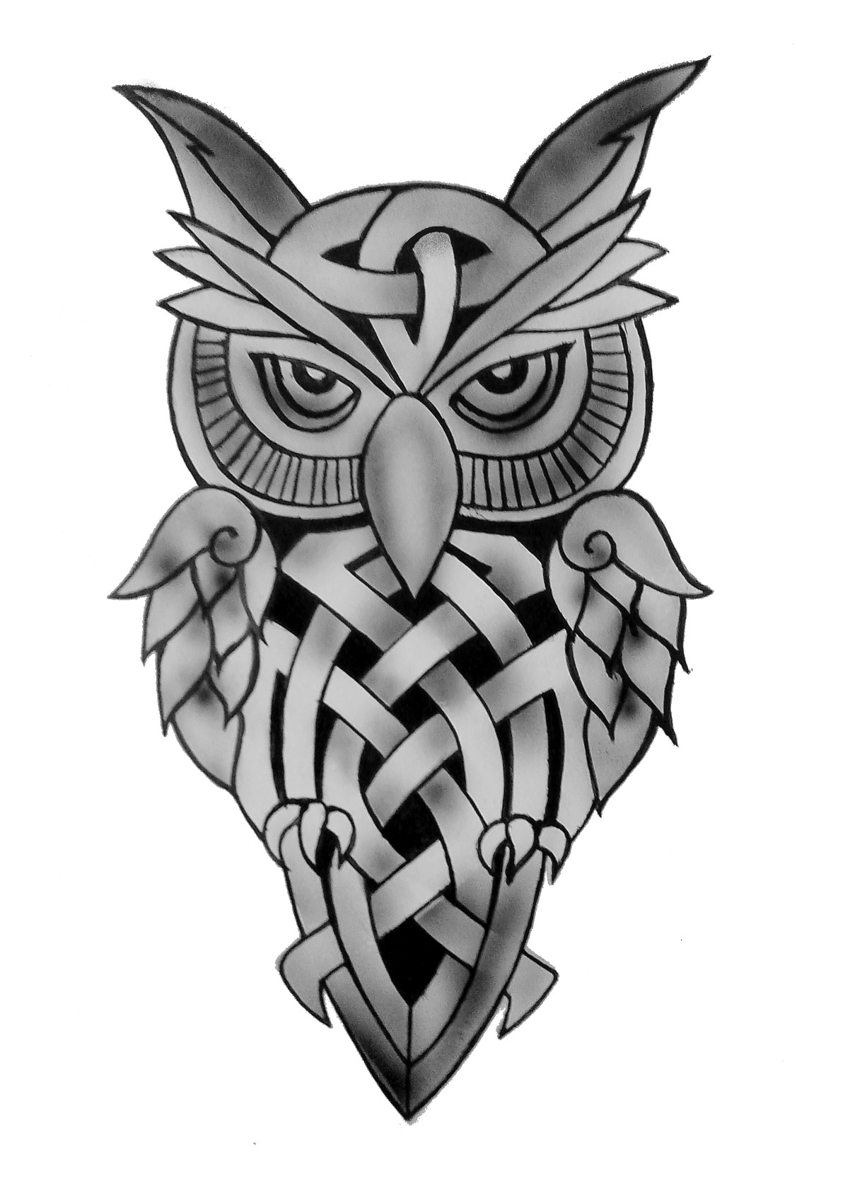 Peinture Owl Celtic