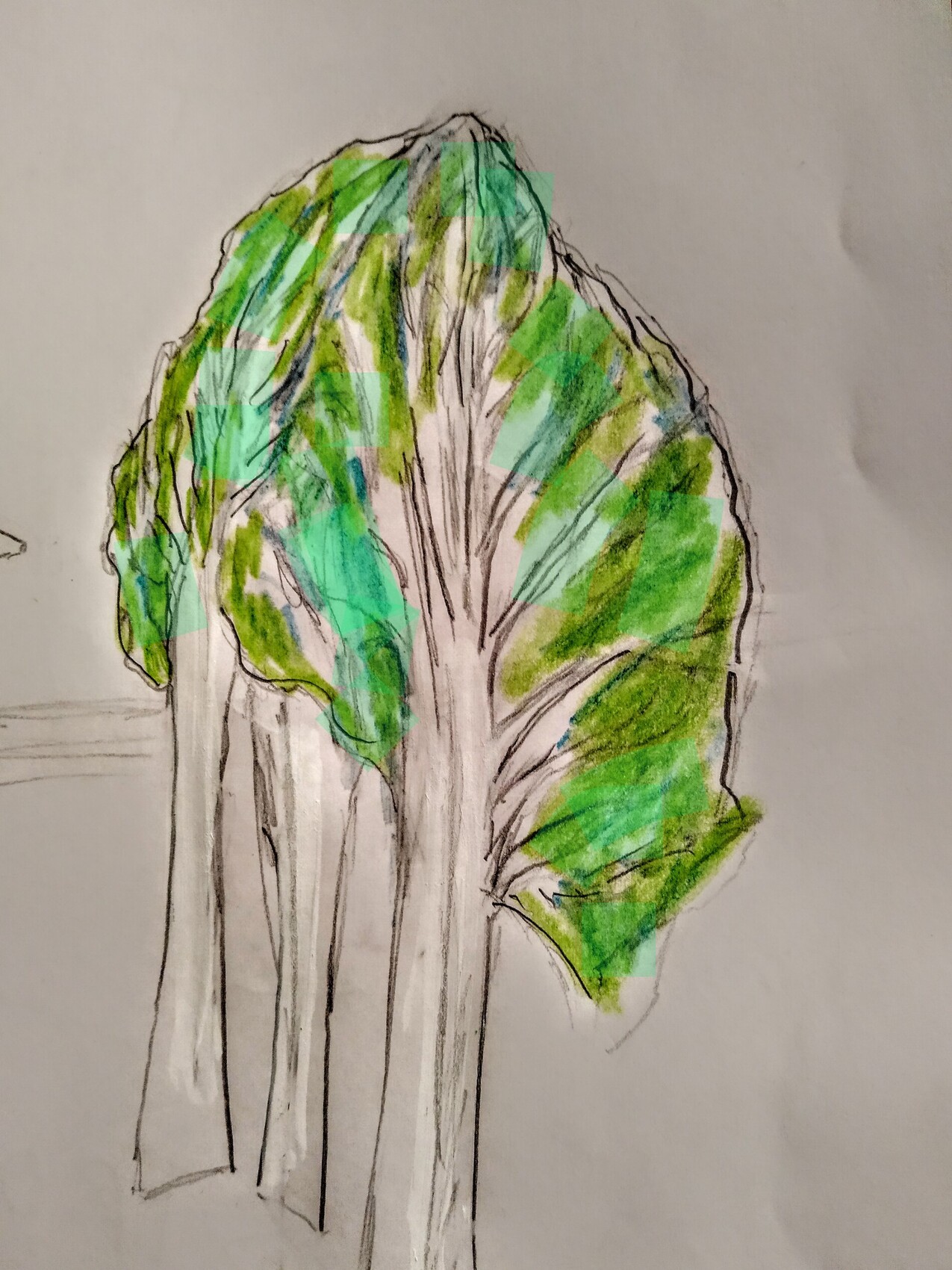 Dessin J'aime les Blettes