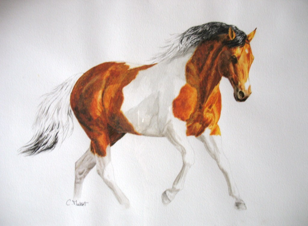 Peinture Cheval Paint au trot