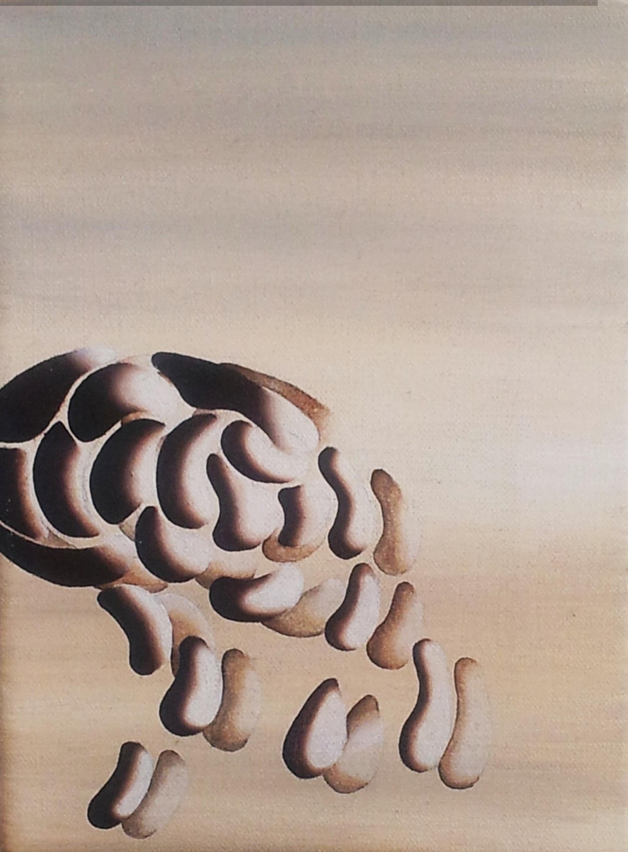 Peinture Décomposition