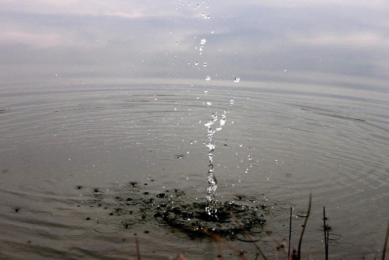 Photo plouf...splash...!