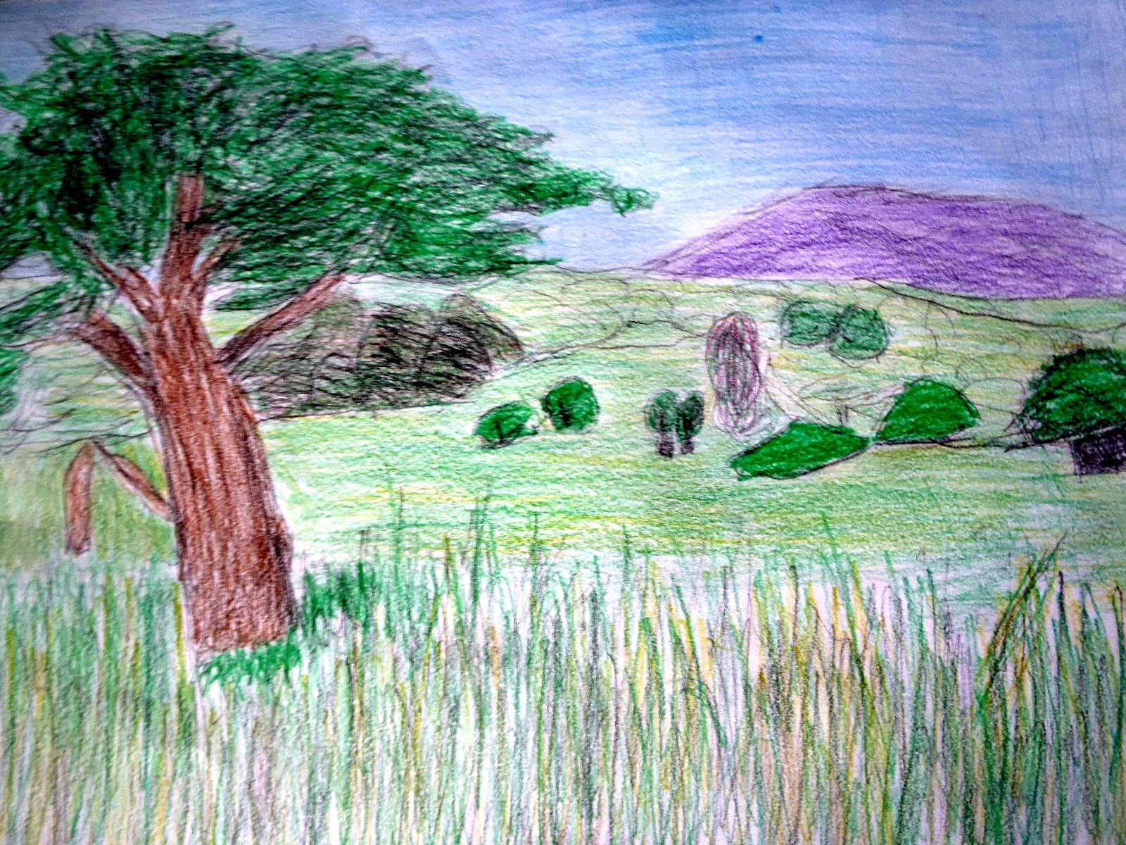 Dessin A la campagne