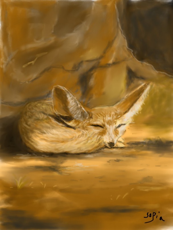 Peinture Le Fennec ...