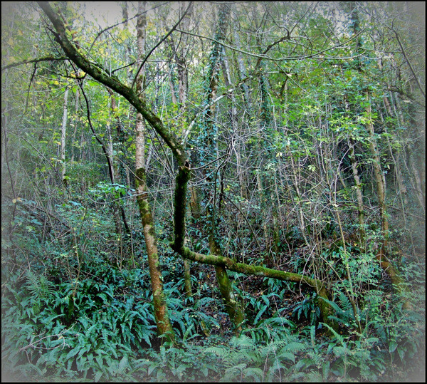 Photo photo d'octobre.