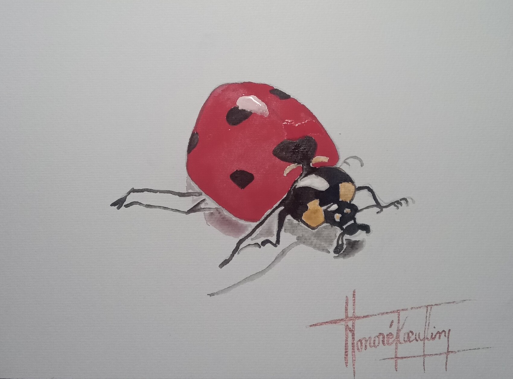 Peinture Perspective, coccinelle
