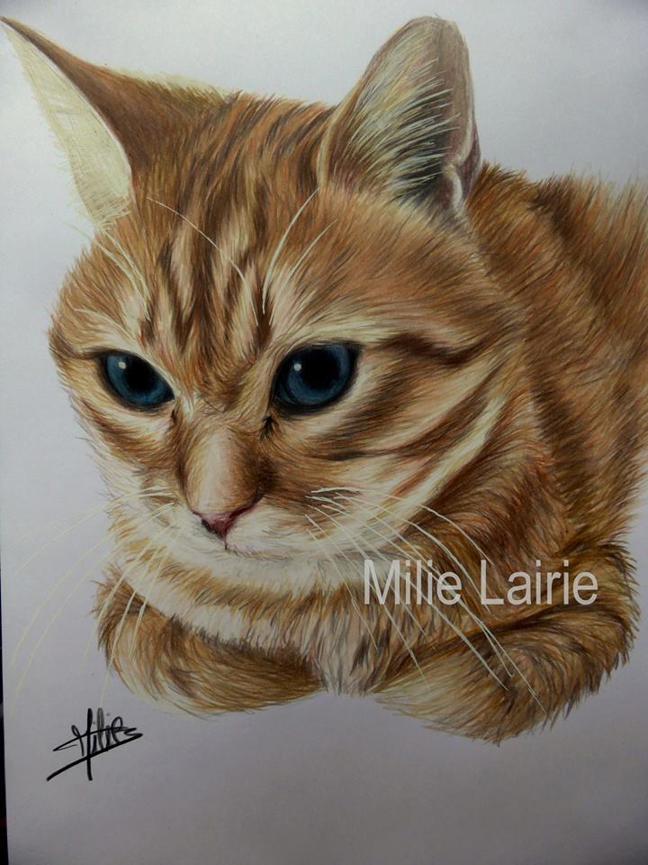 Dessin Chat