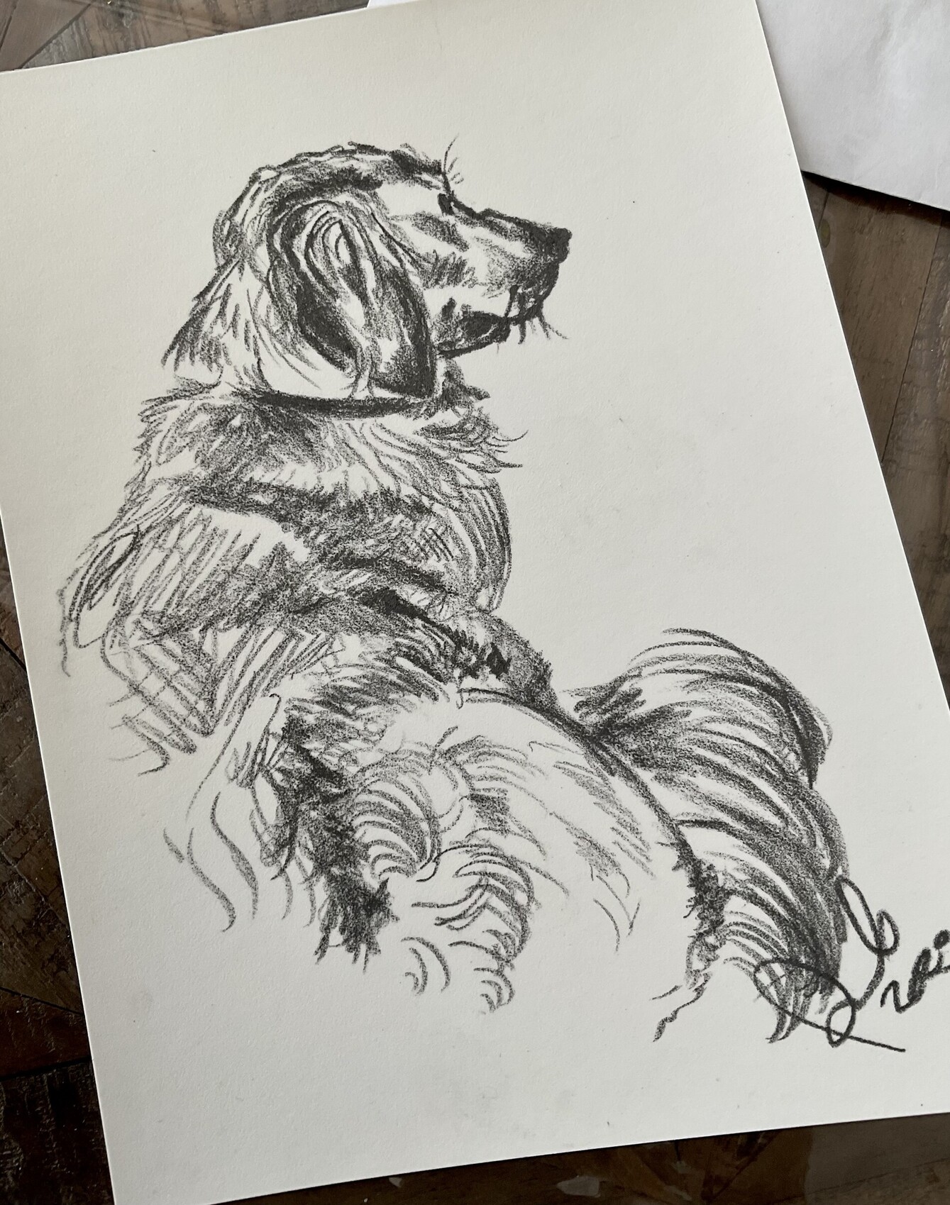 Peinture Simôôône en deux-trois traits