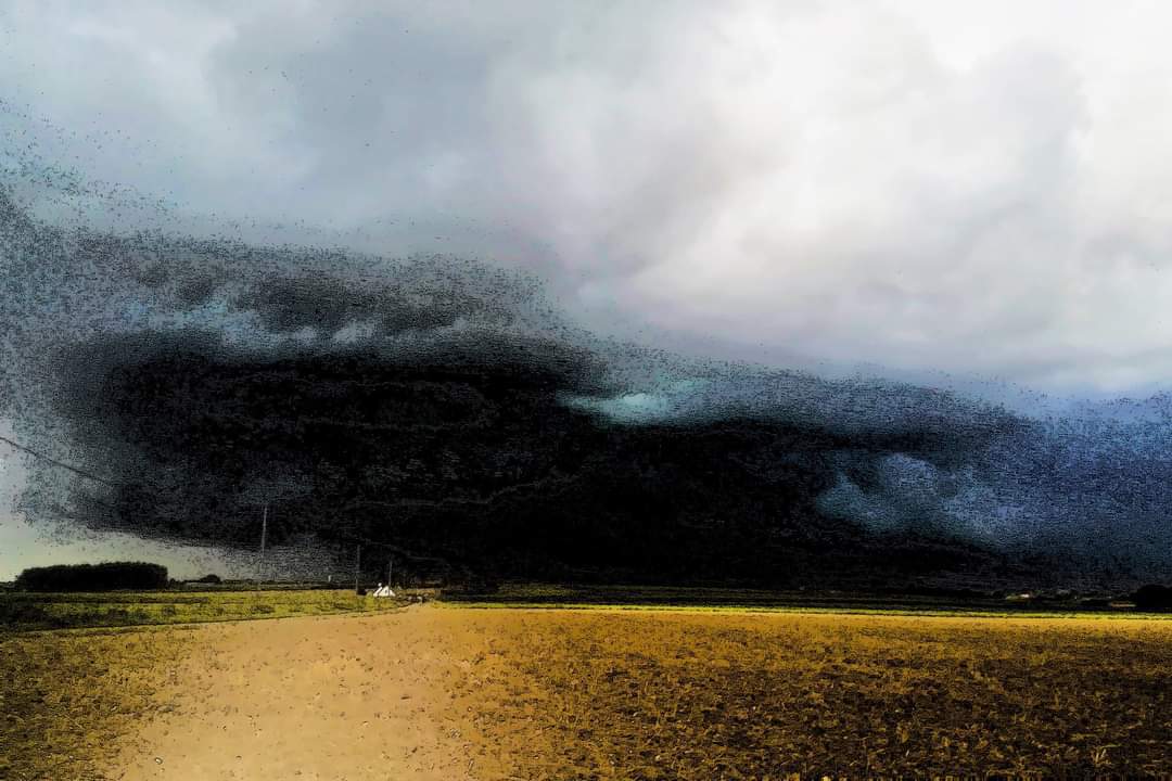 Photo Phénomène naturel