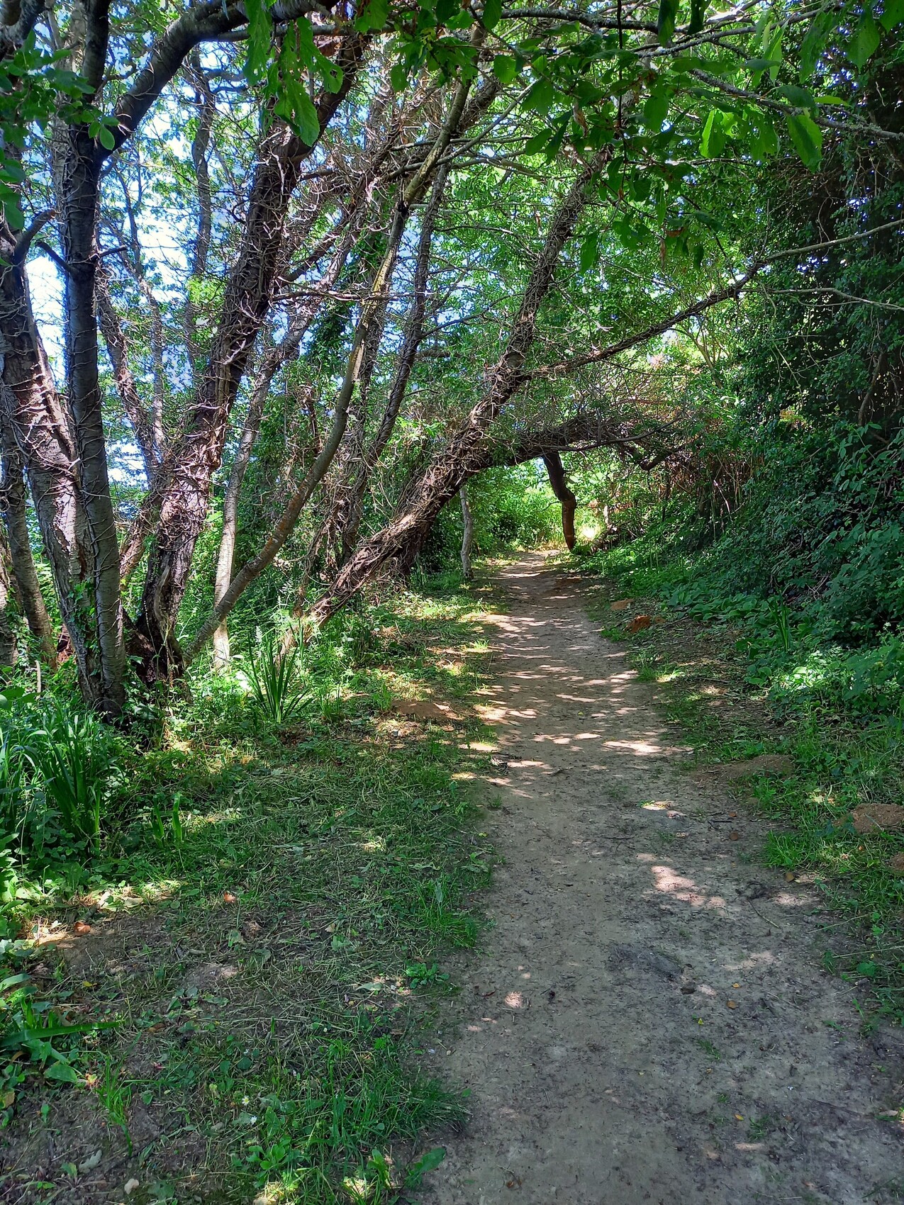 Photo Balade en Côte d'Armor.