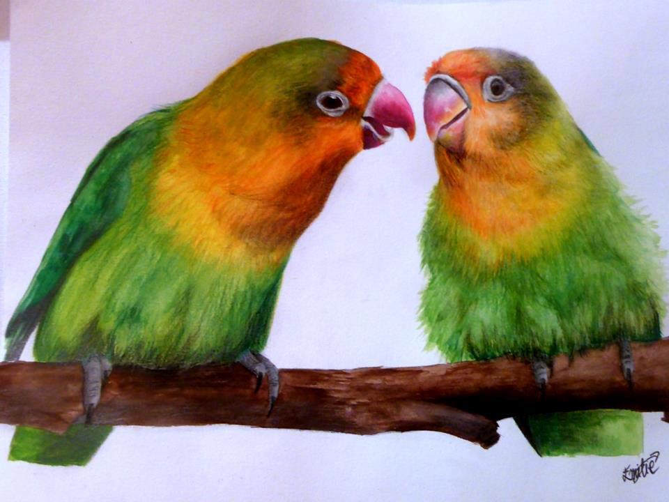 Peinture Inséparables