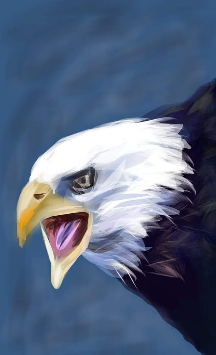 Peinture Le rapace...