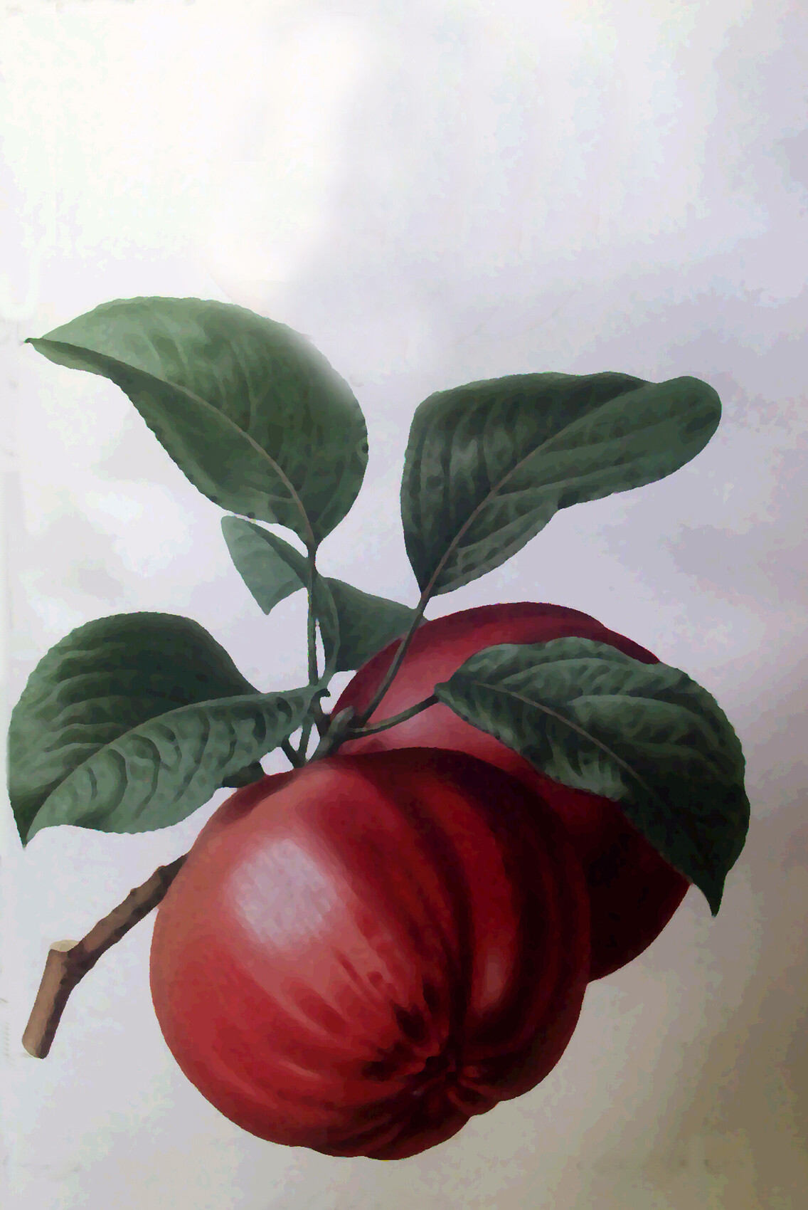 Peinture Pommes rouges