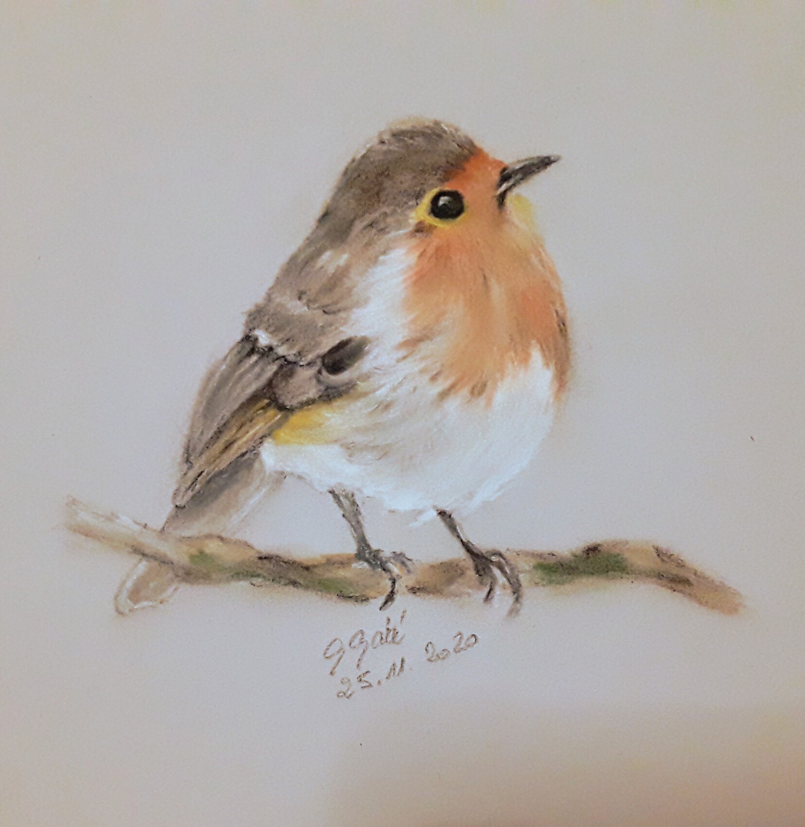 Peinture rouge gorge