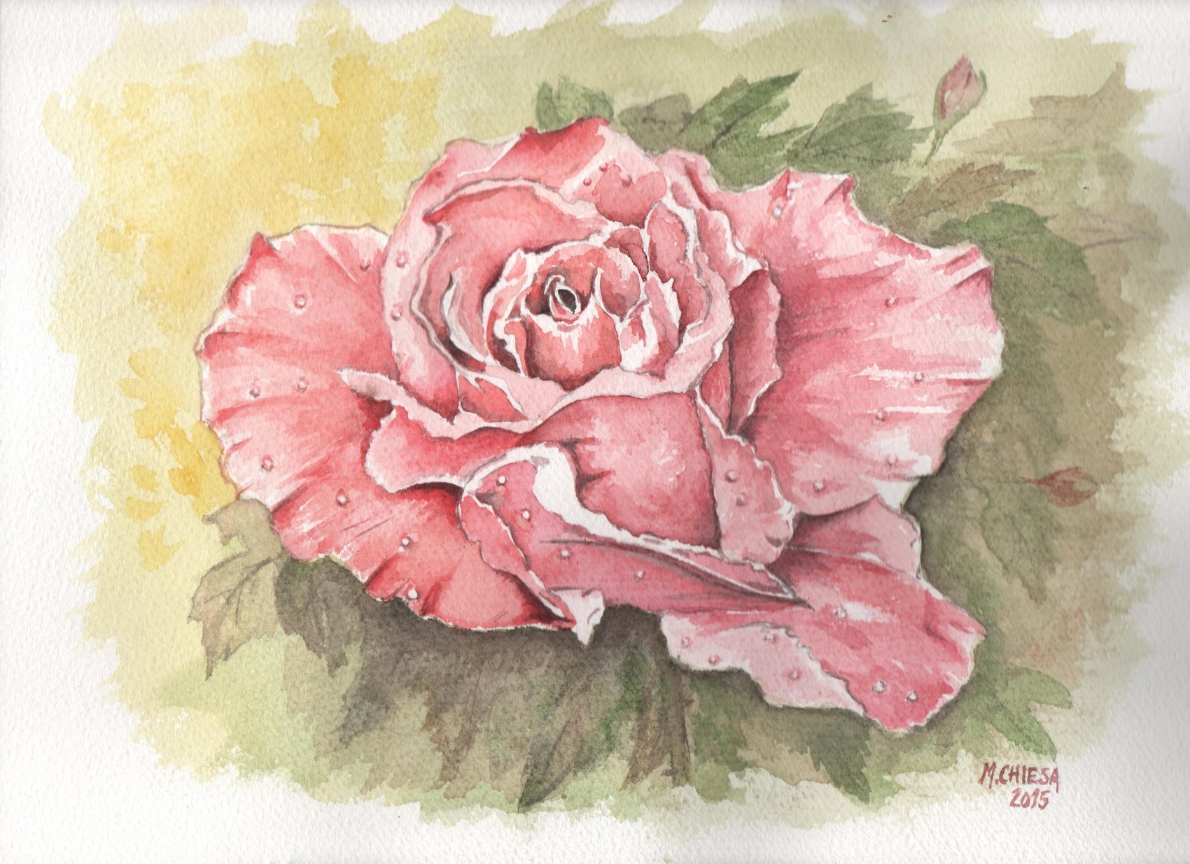 Peinture rose