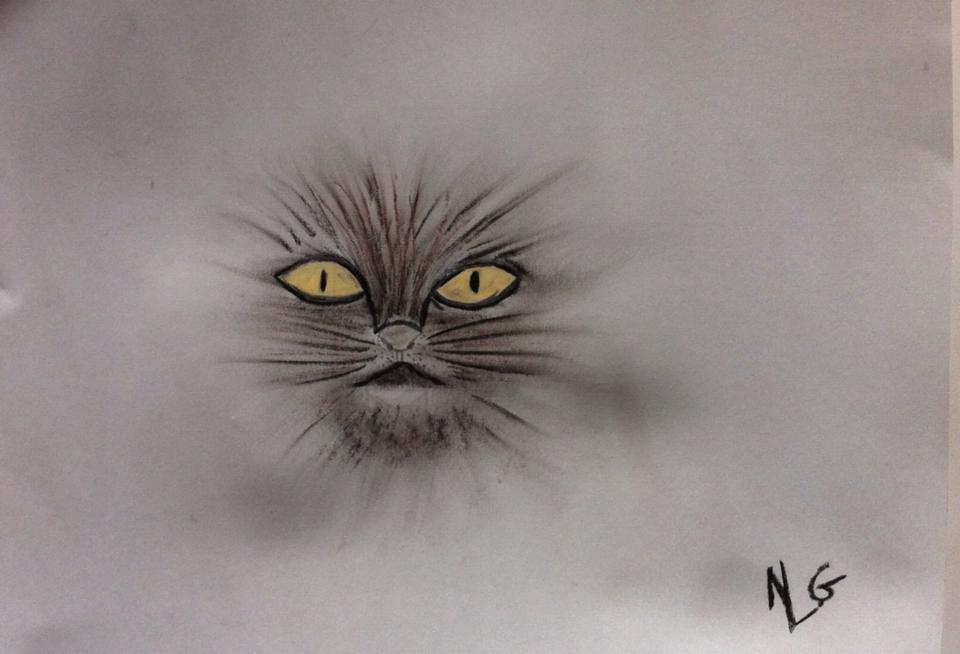Dessin le chat