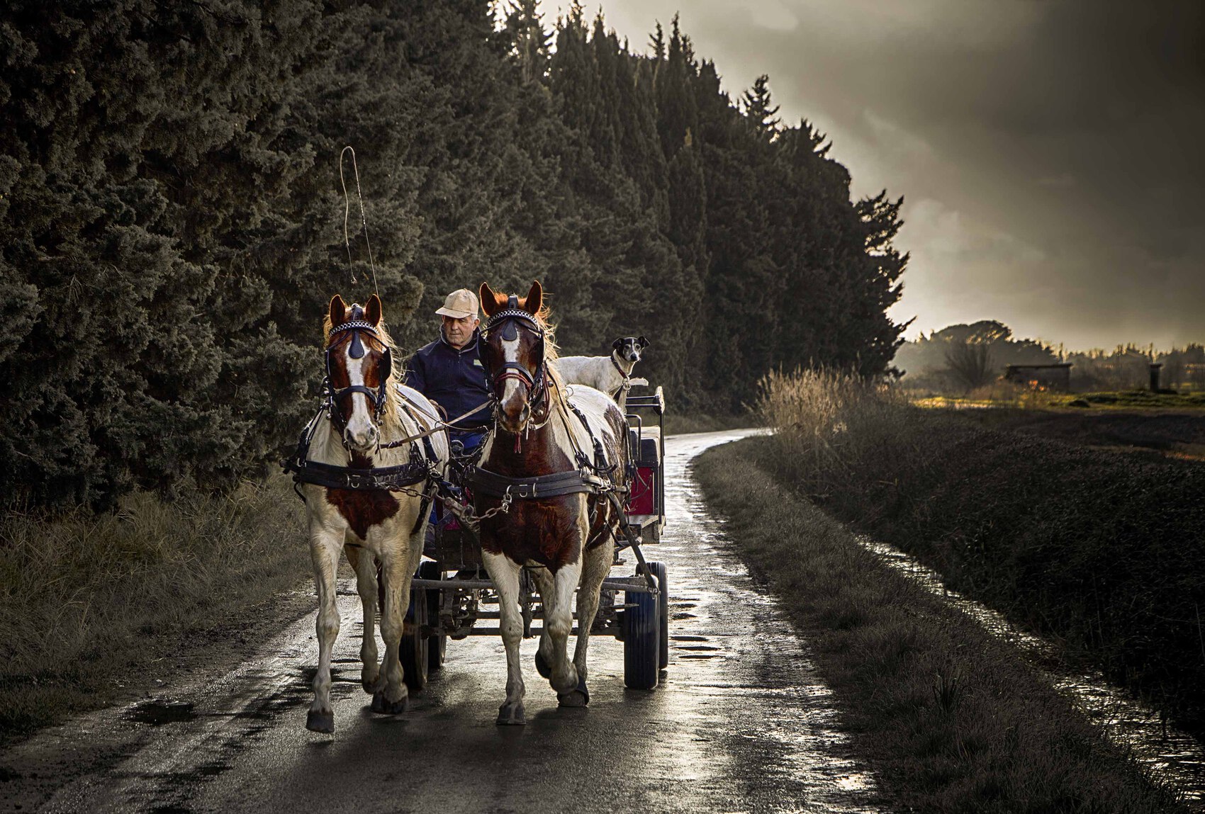 Photo La charette - Le fichier 20€ - Tirages tous formats voir mon site ...