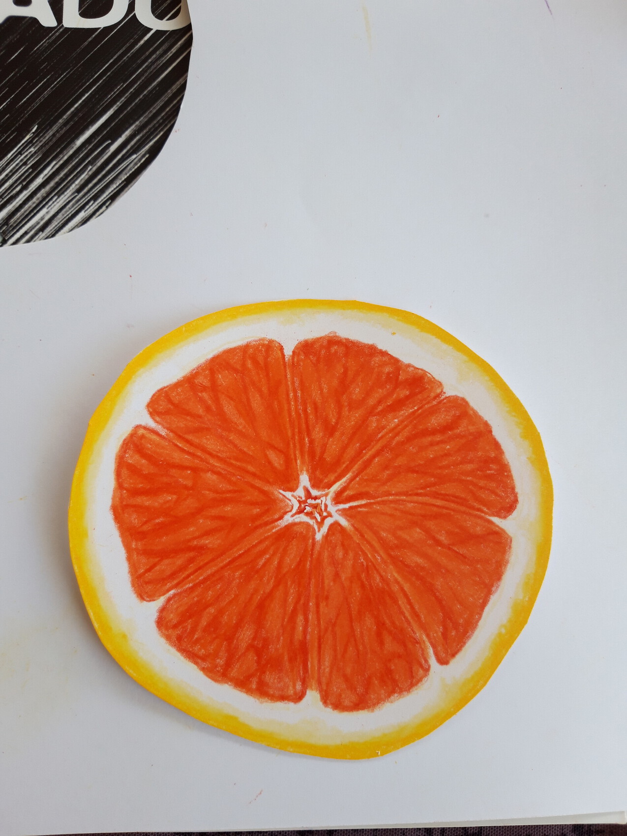 Dessin Pamplemousse crayons de couleurs