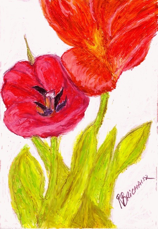 Dessin Rouge fleurs