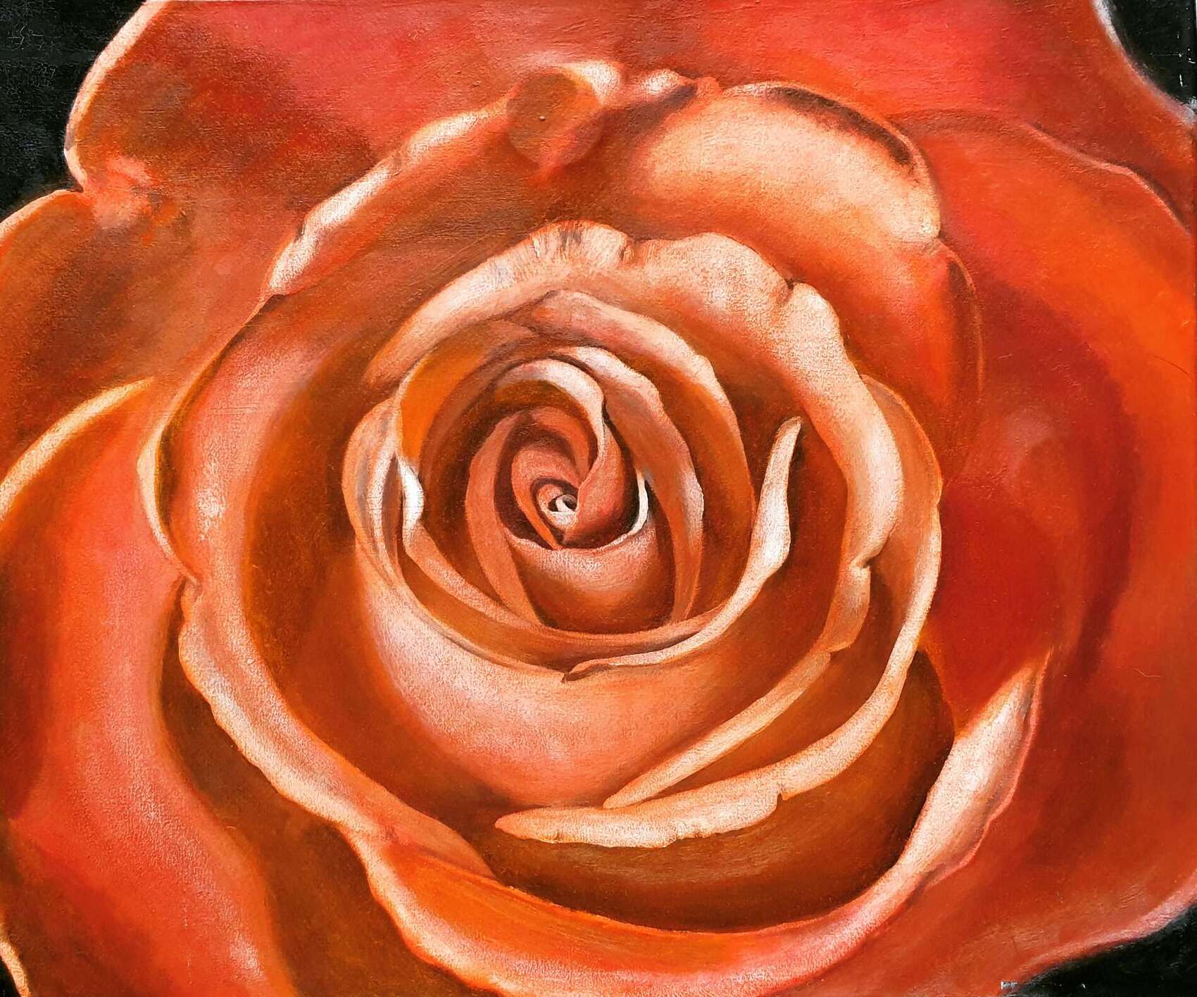 Peinture Rose