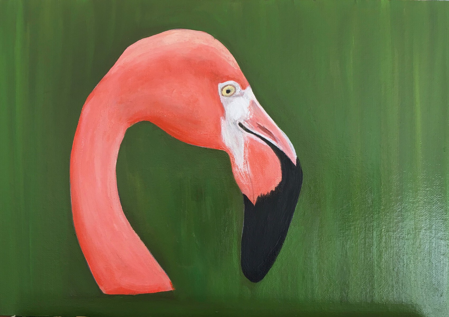 Peinture FLAMAND ROSE