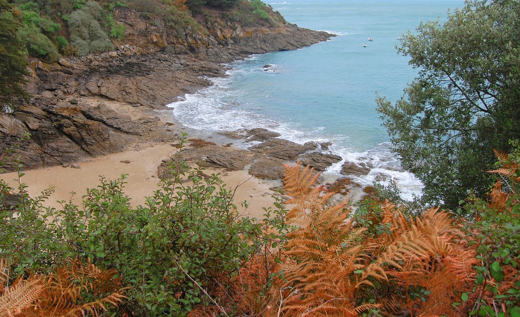 Photo Côte bretonne, près de Dinan 2013