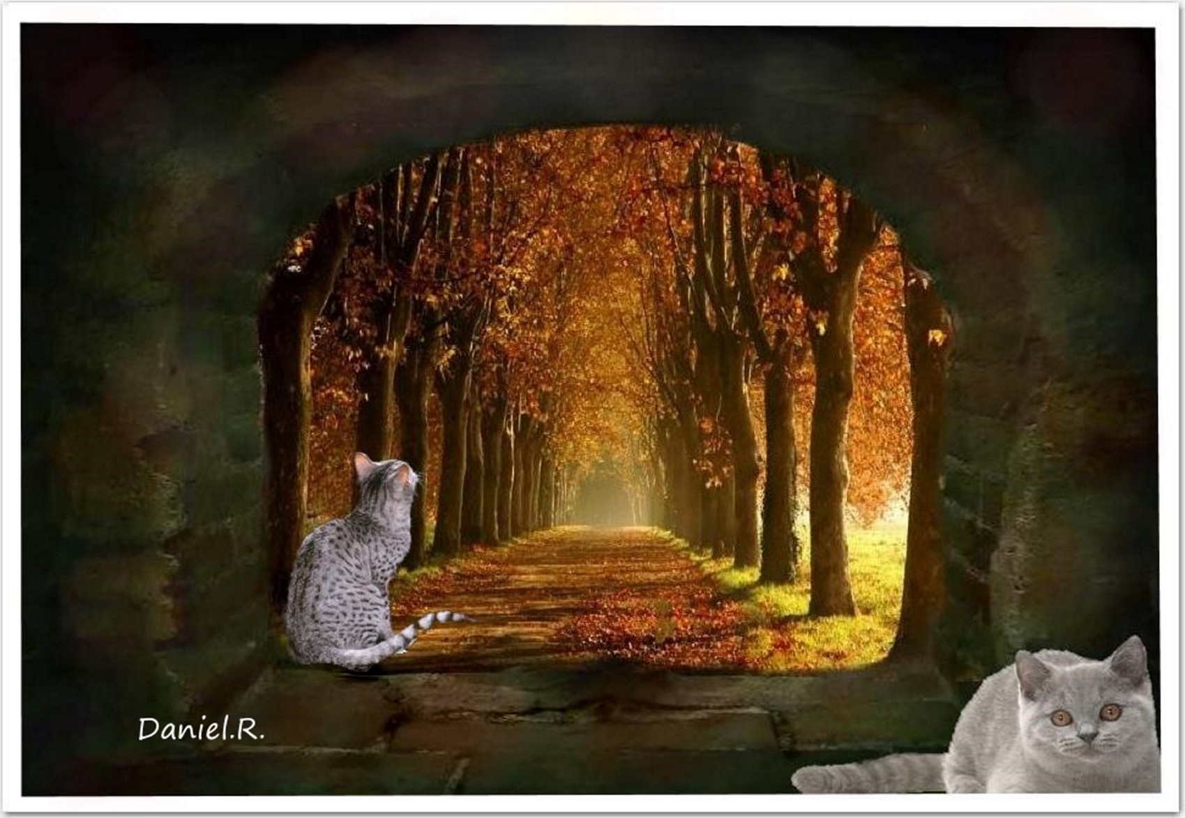 Photo le passage ...