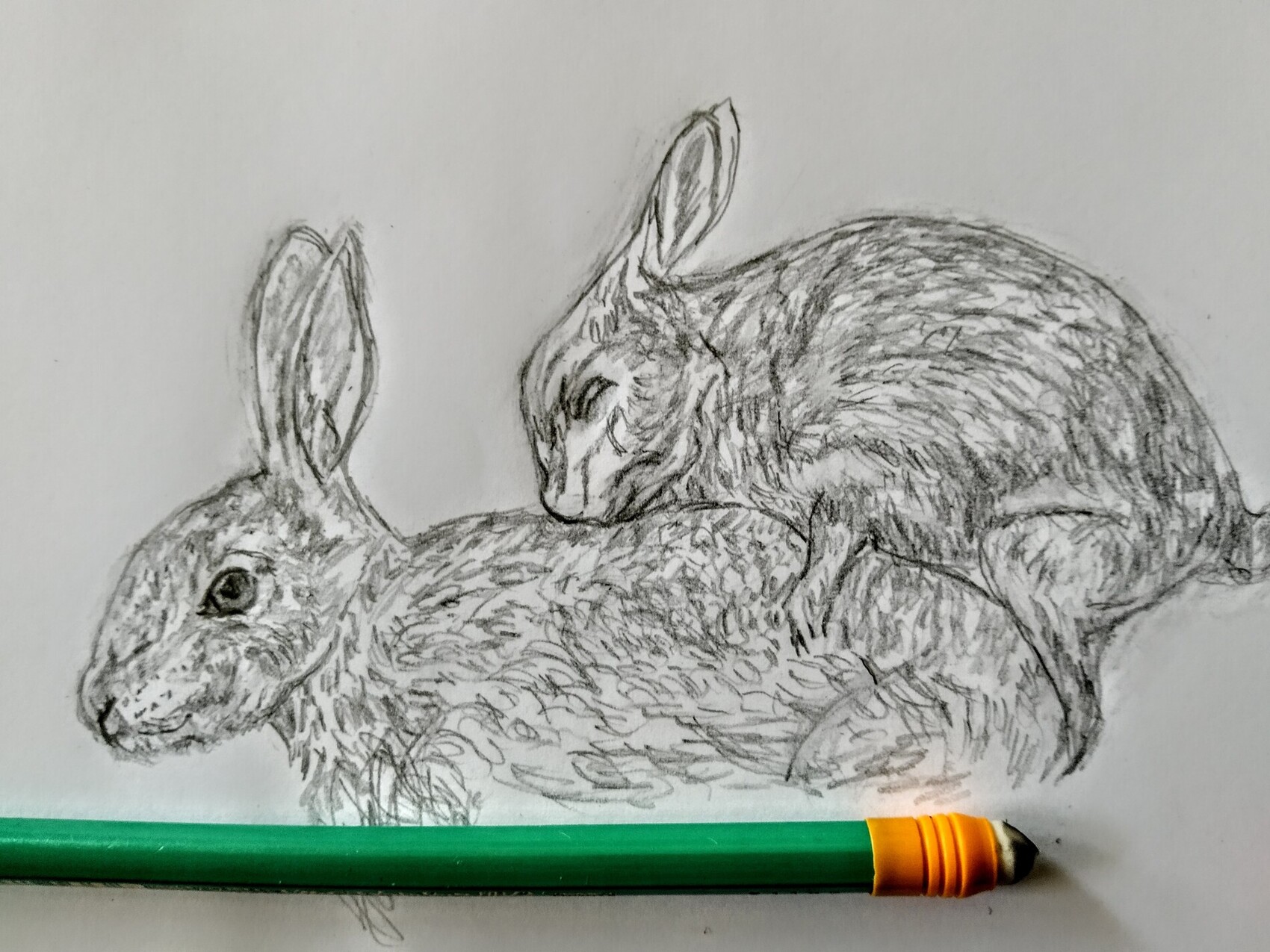 Dessin Reproduction...