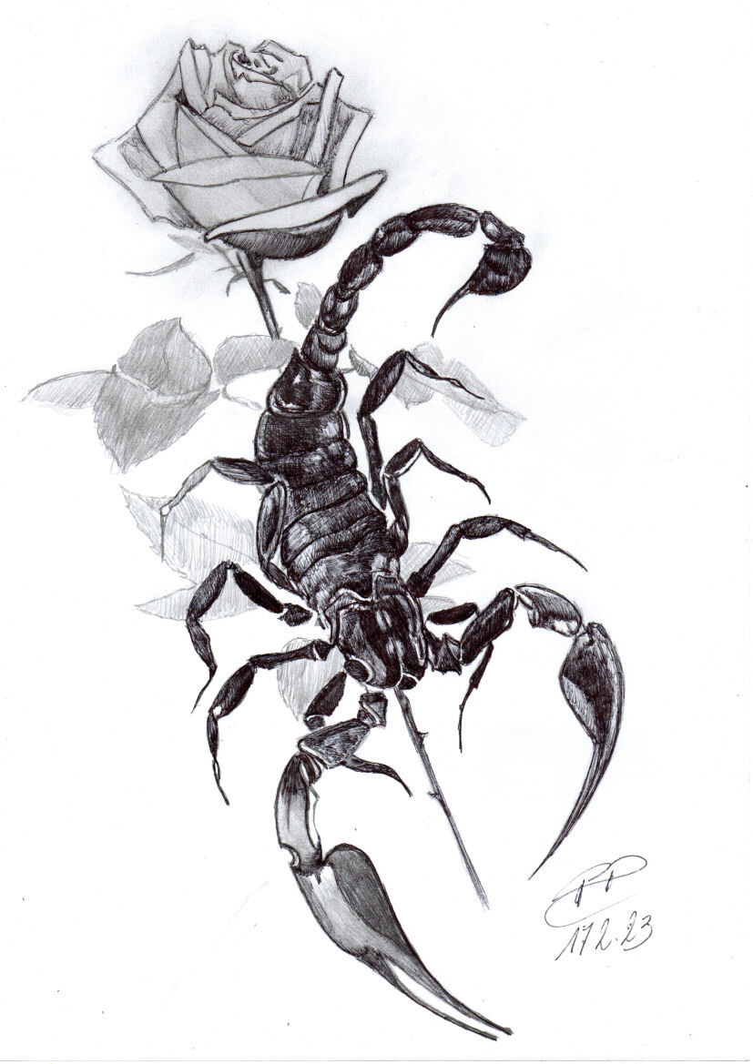 Dessin Scorpion