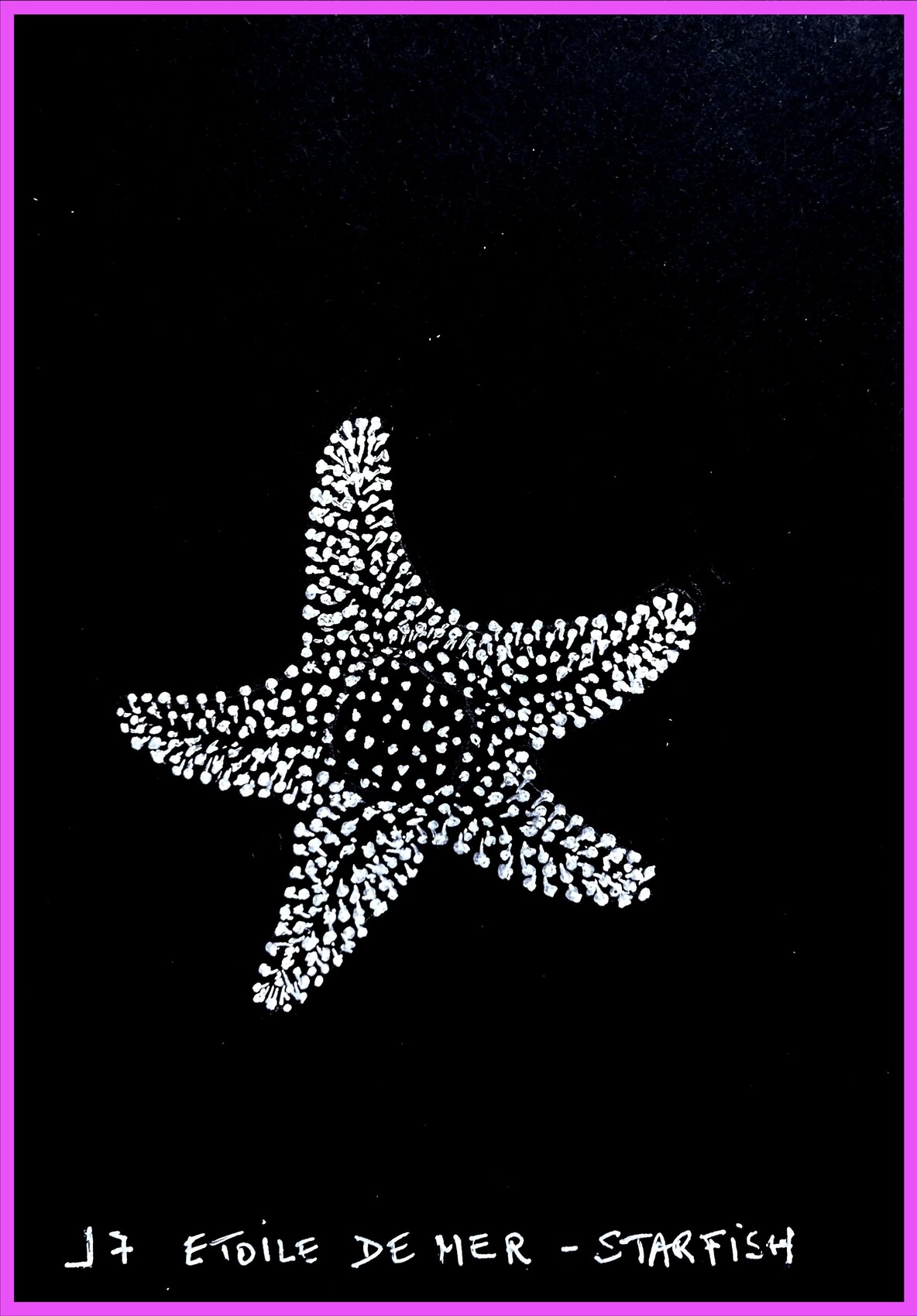 Dessin Inktober 2025 J7 Etoile de mer - Starfish