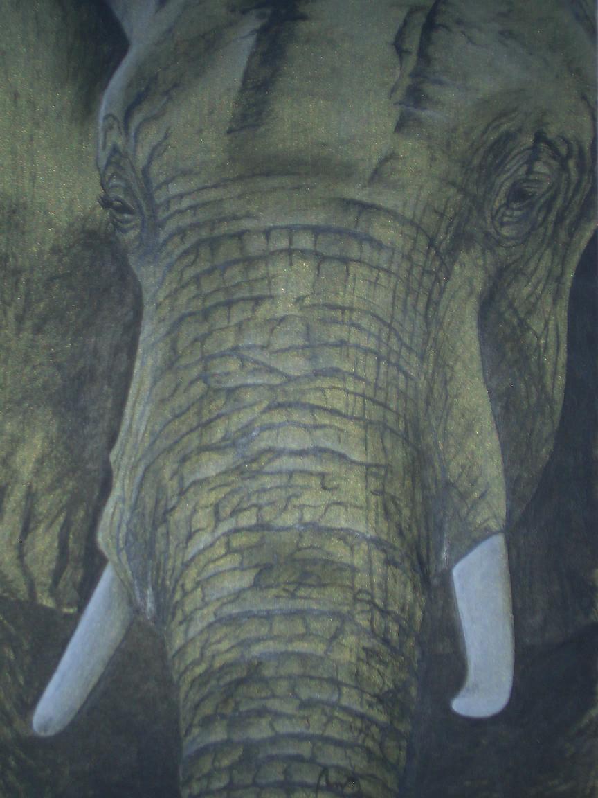 Autre Elephant