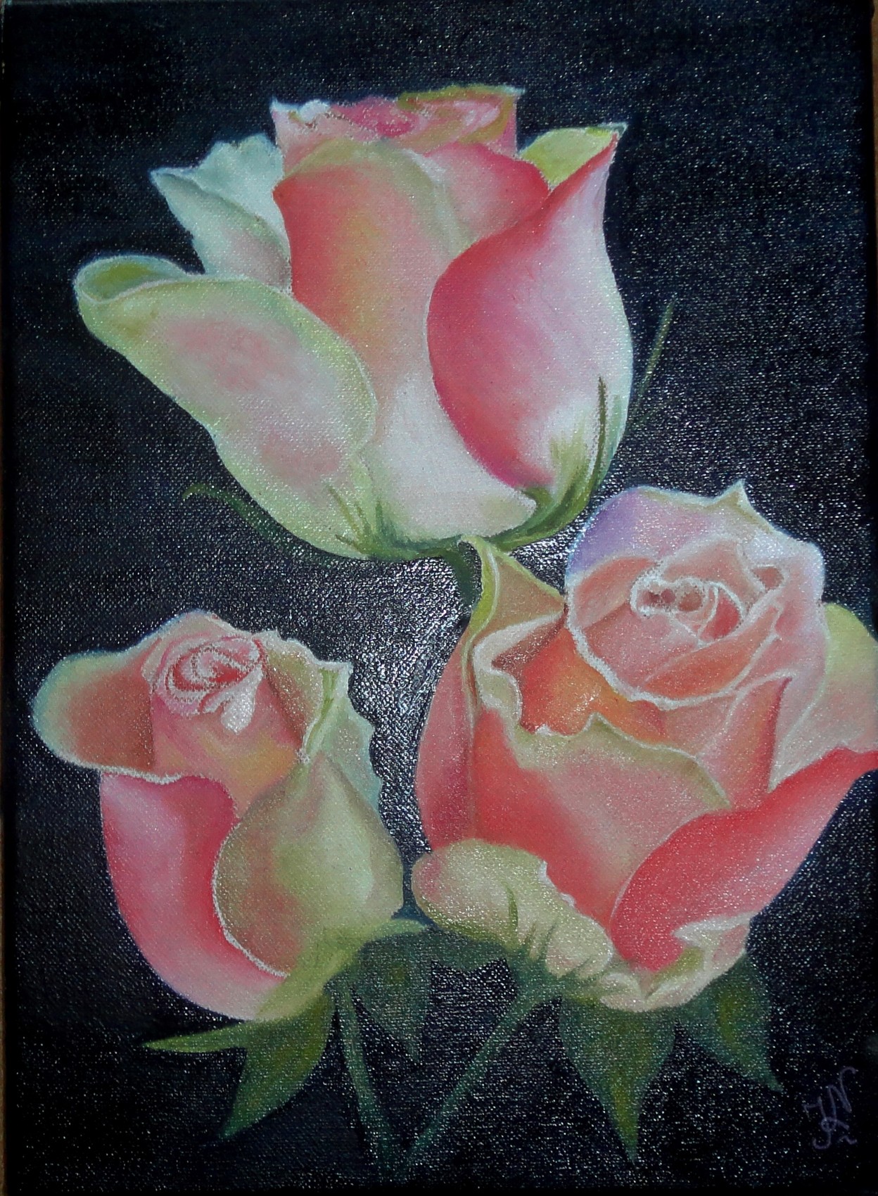 Peinture roses du jardin