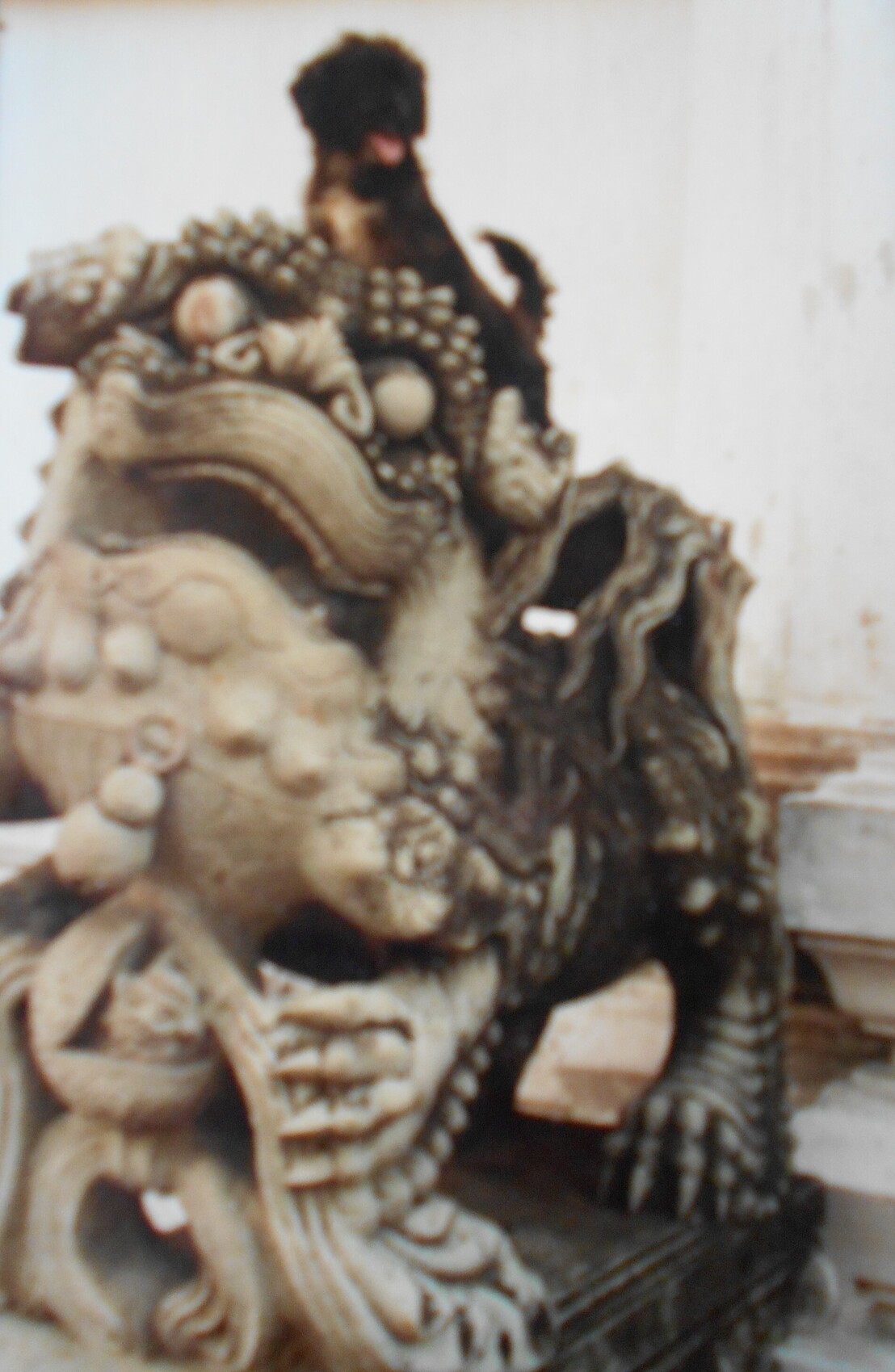 Photo Douwa à kathmandu