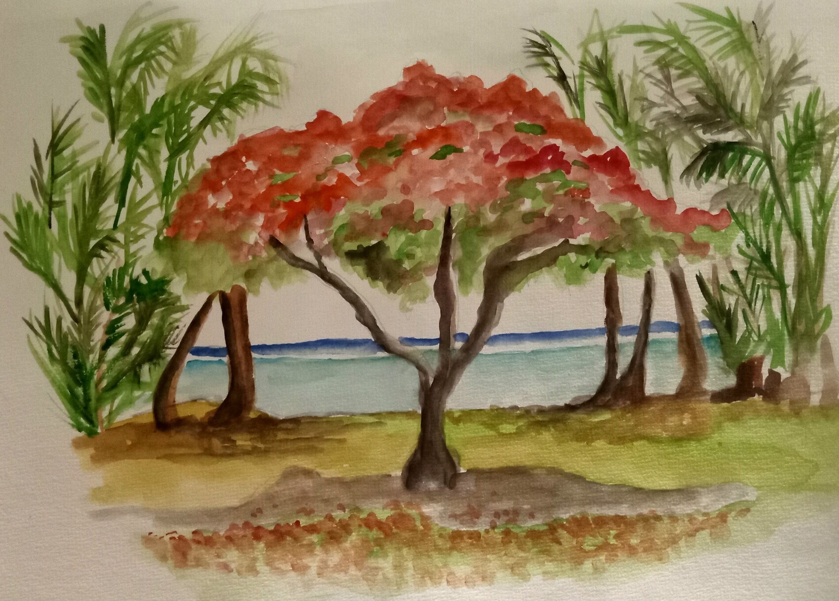 Peinture Le Flamboyant