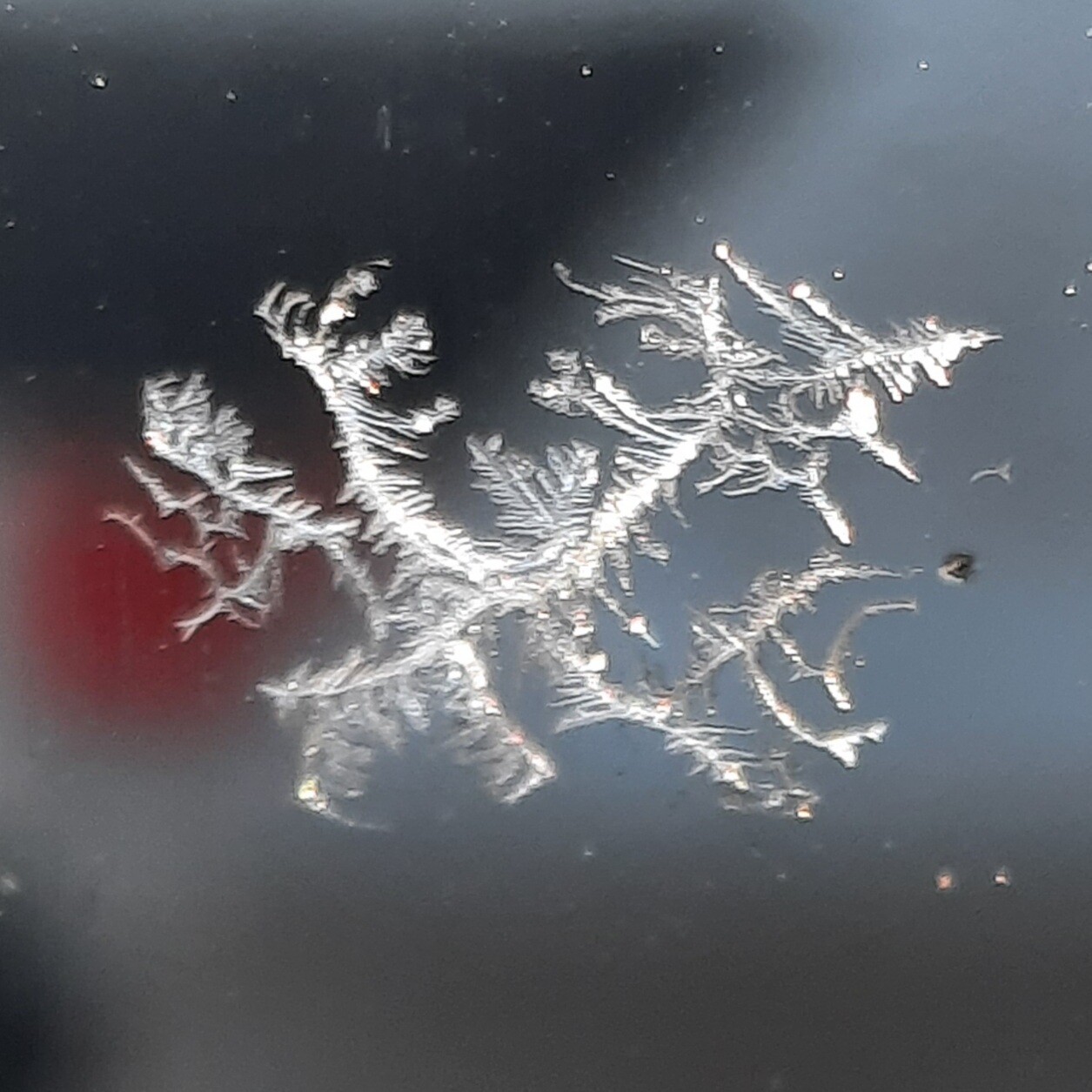 Peinture Flocon du jour