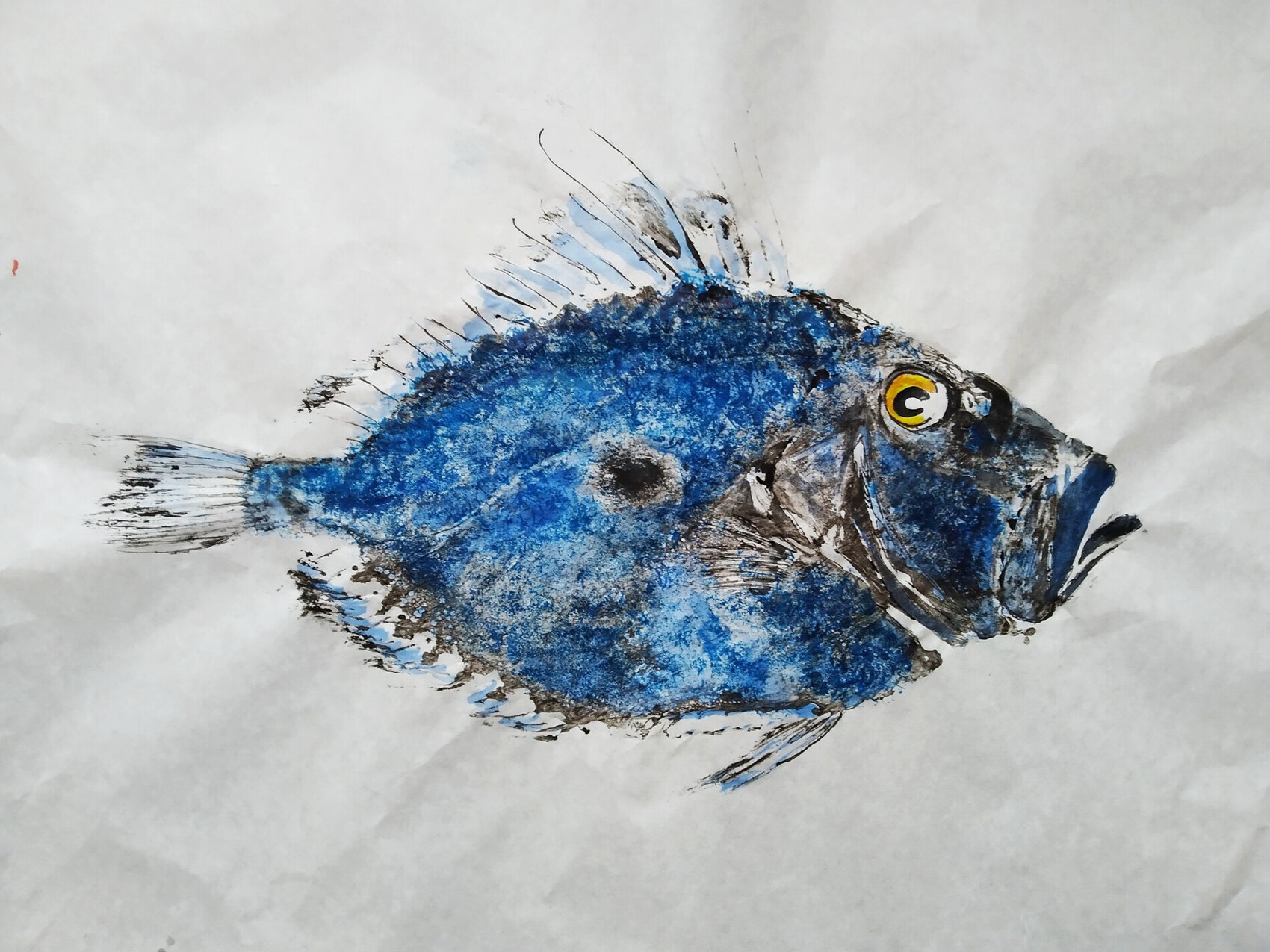 Peinture Gyotaku Saint pierre