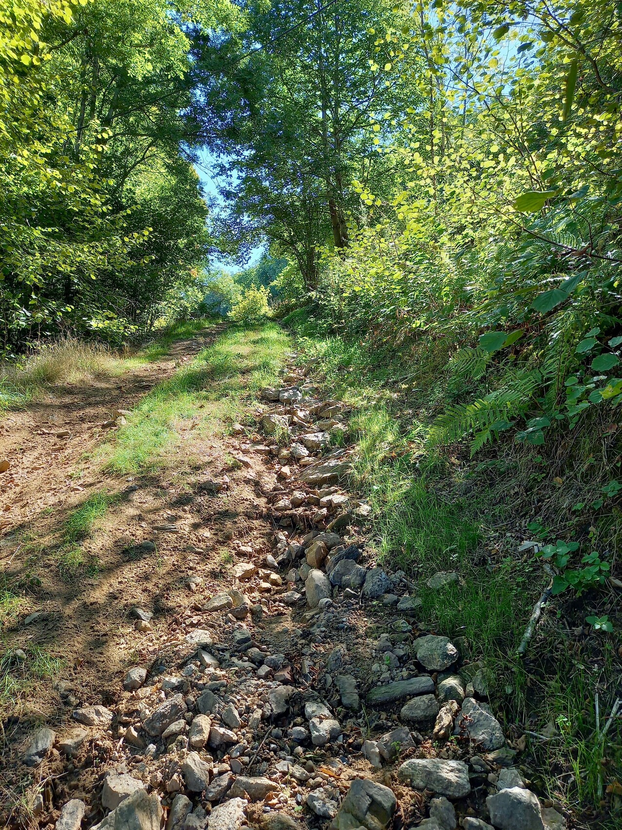 Photo Chemin de pierre