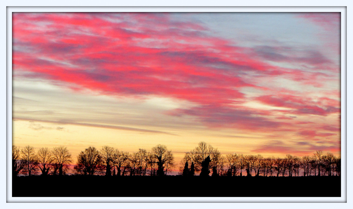 Photo AUBE FLAMBOYANTE