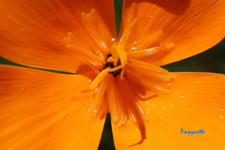 Photo EN PLEIN COEUR