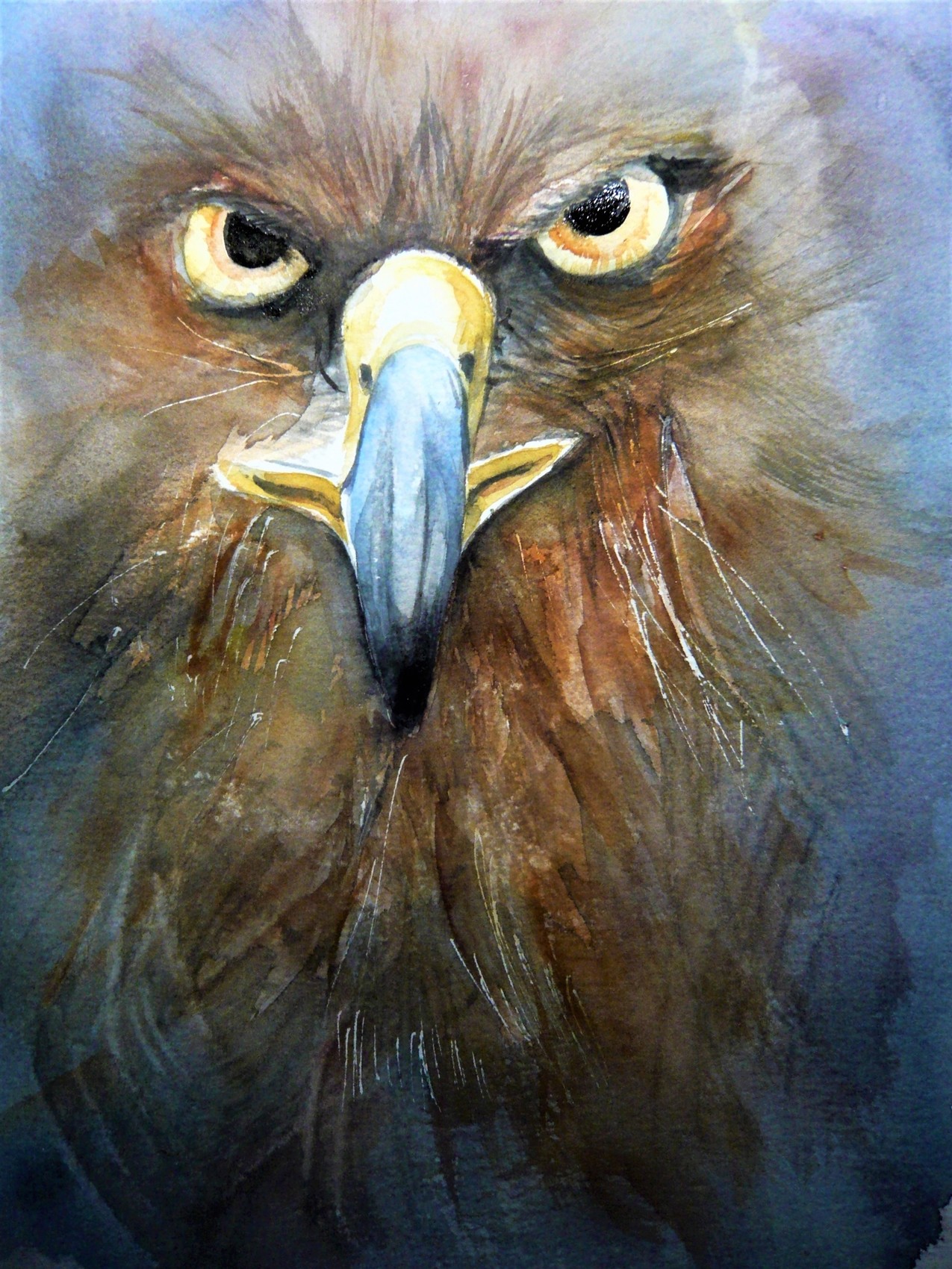 Peinture Rapace.....!