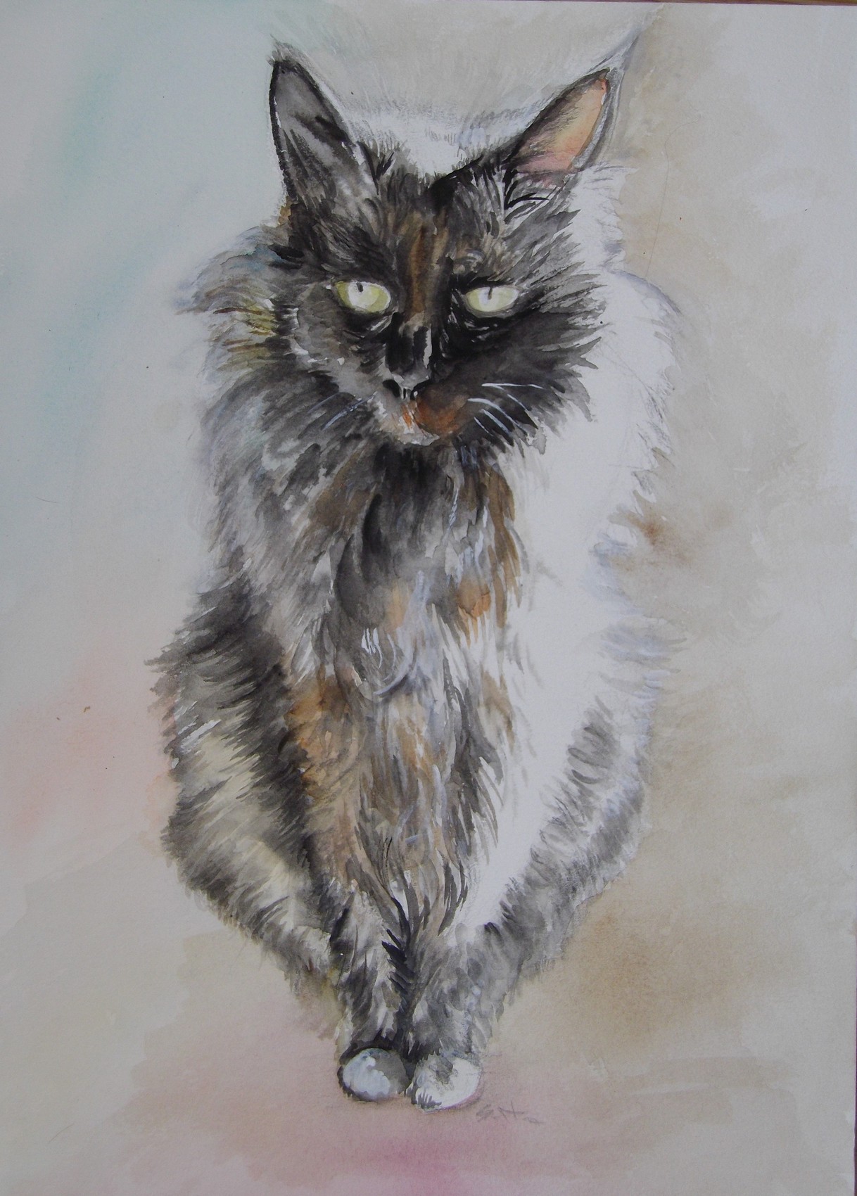 Peinture le chat