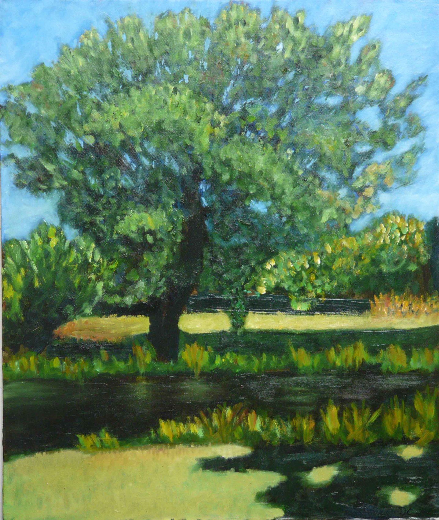 Peinture chêne majestueux